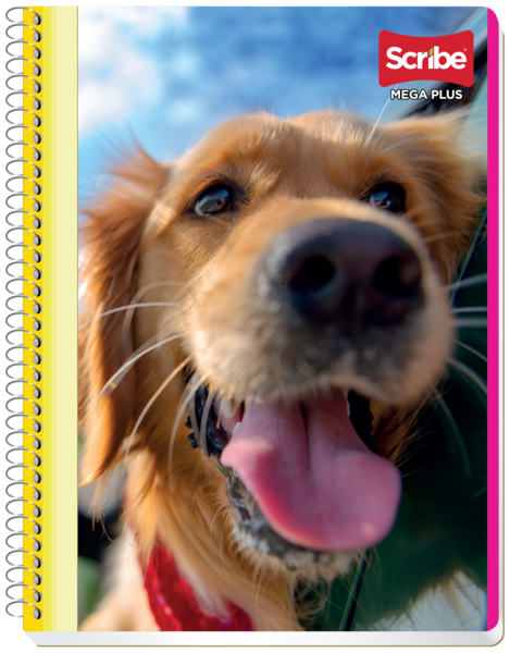 Cuaderno Profesional 5 mm Espiral 100 Hojas Scribe Mega Plus— Farmacia ...